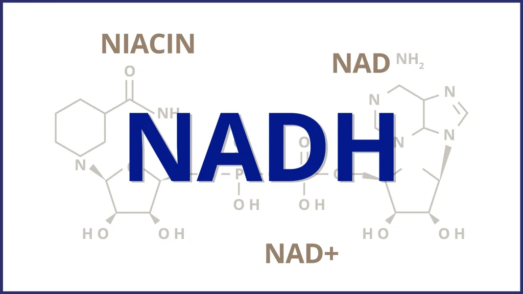 Does NADH Inhibit Glycolysis? Understanding Its Role in Cellular