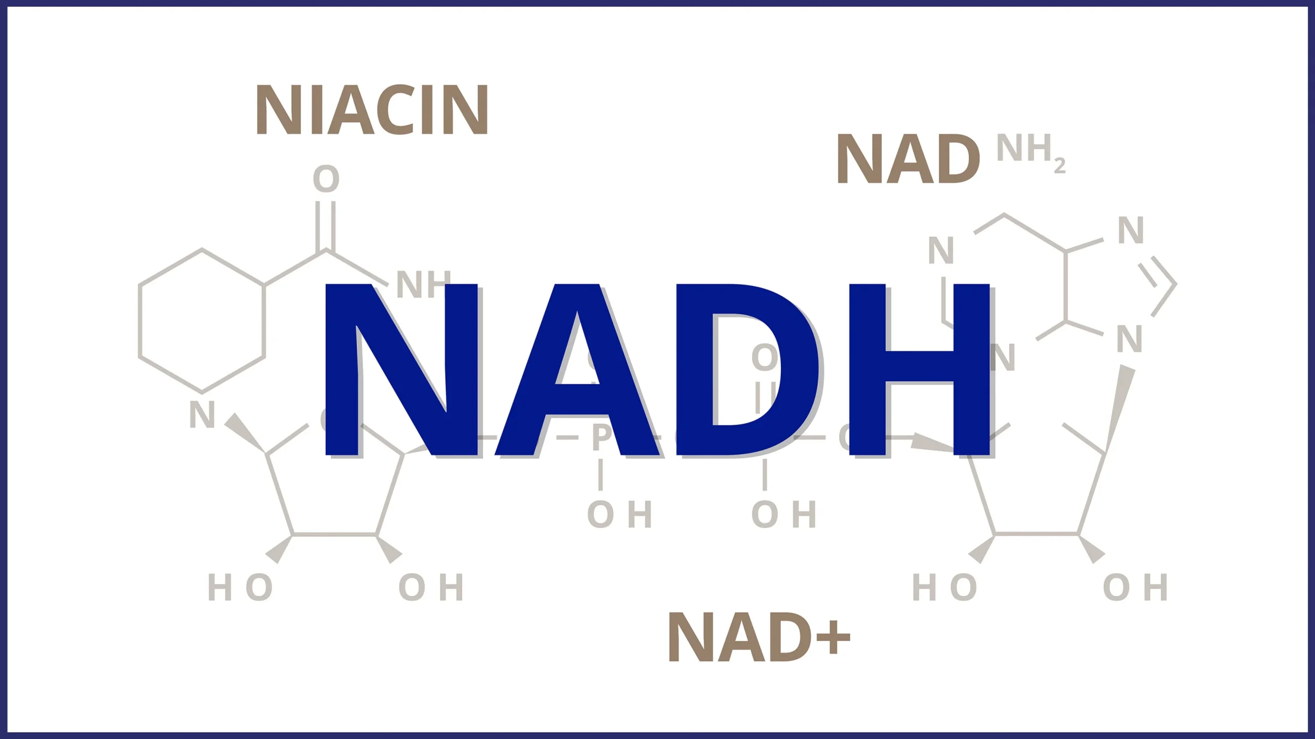 should-you-take-nad-or-nadh-understanding-the-differences